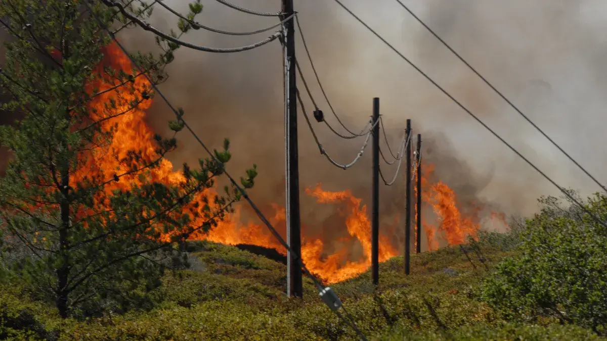 TempestOne Enterprise + DSAT for Utilities | Tempest